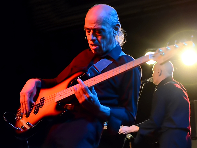 The Bass Centre Rhythm Stick