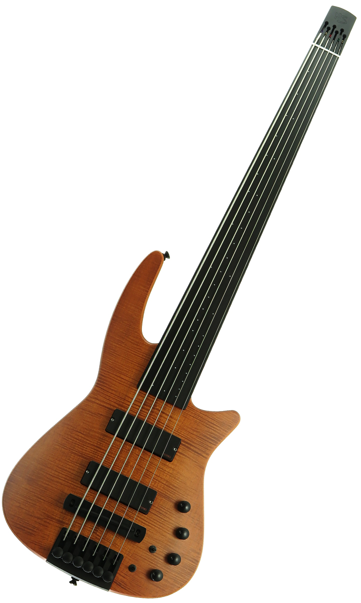 NS Design CR6 Radius Fretless